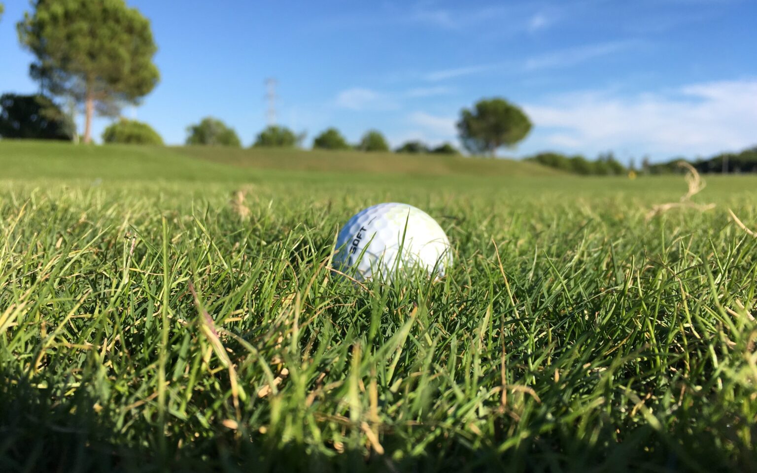 【ゴルフボールの選び方】スピン系とディスタンス系の違いとは - JYGOLF